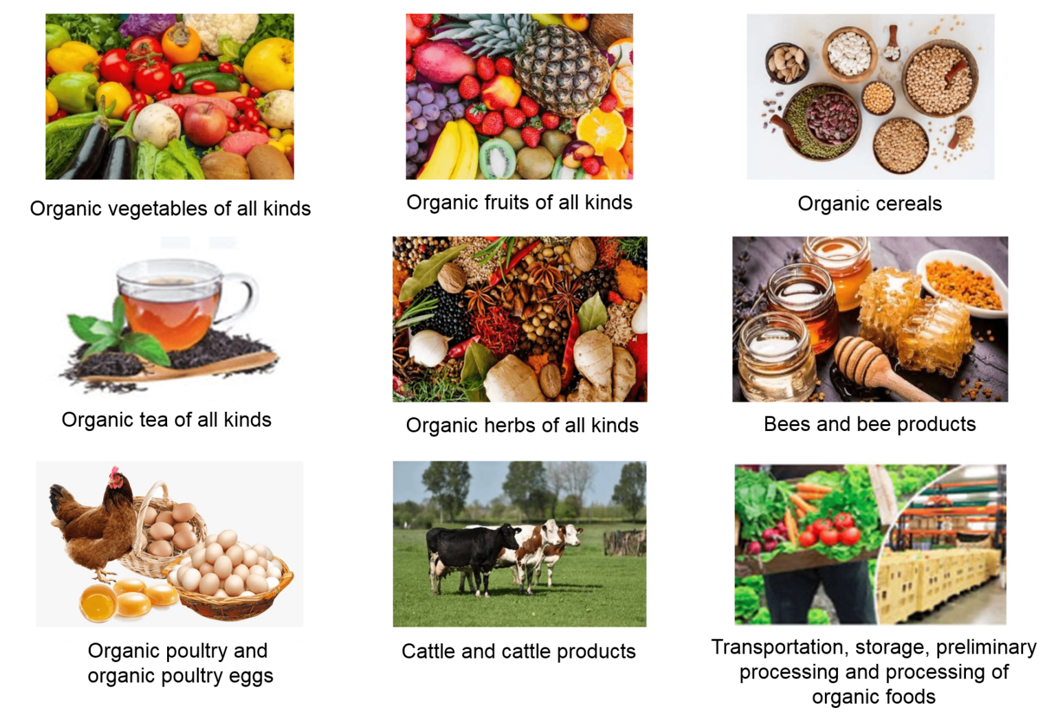 TCVN 11041 on Organic Food Certification - Vinacontrol
